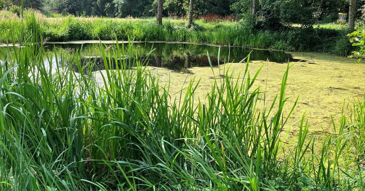 Sønder Vilstrup | Haderslev Kommune
